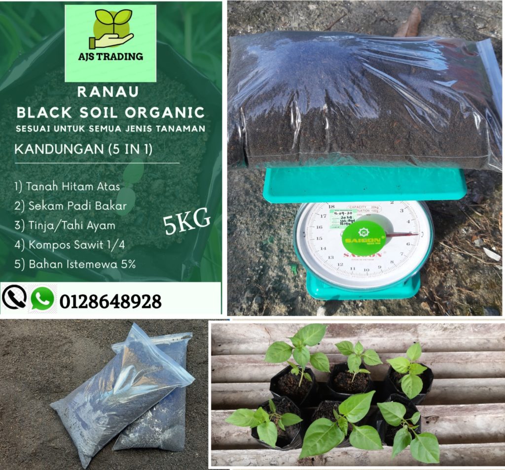 Pemegang Kad Burung-Burung dan Sijil Banci tidak layak untuk menerima ...