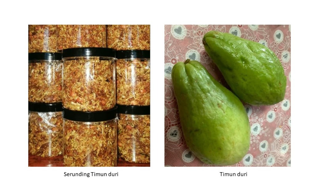 SERUNDING TIMUN DURI CETUSAN IDEA PENYELIDIKAN UMS UNTUK KOMUNITI DALAM ...